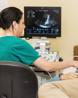 Wilshire Cardiology Group